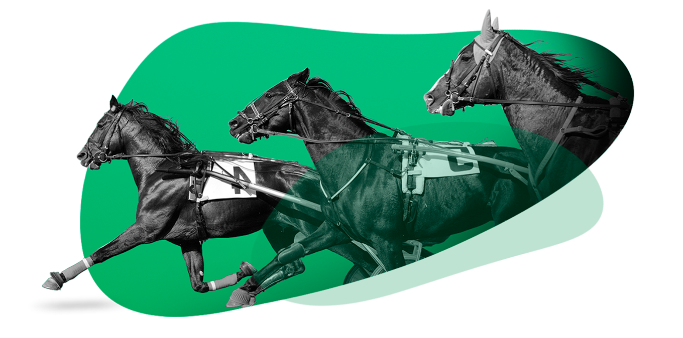 Danmarks Nye Millionspil: Spil & Vind på Heste | Bet25 Heste