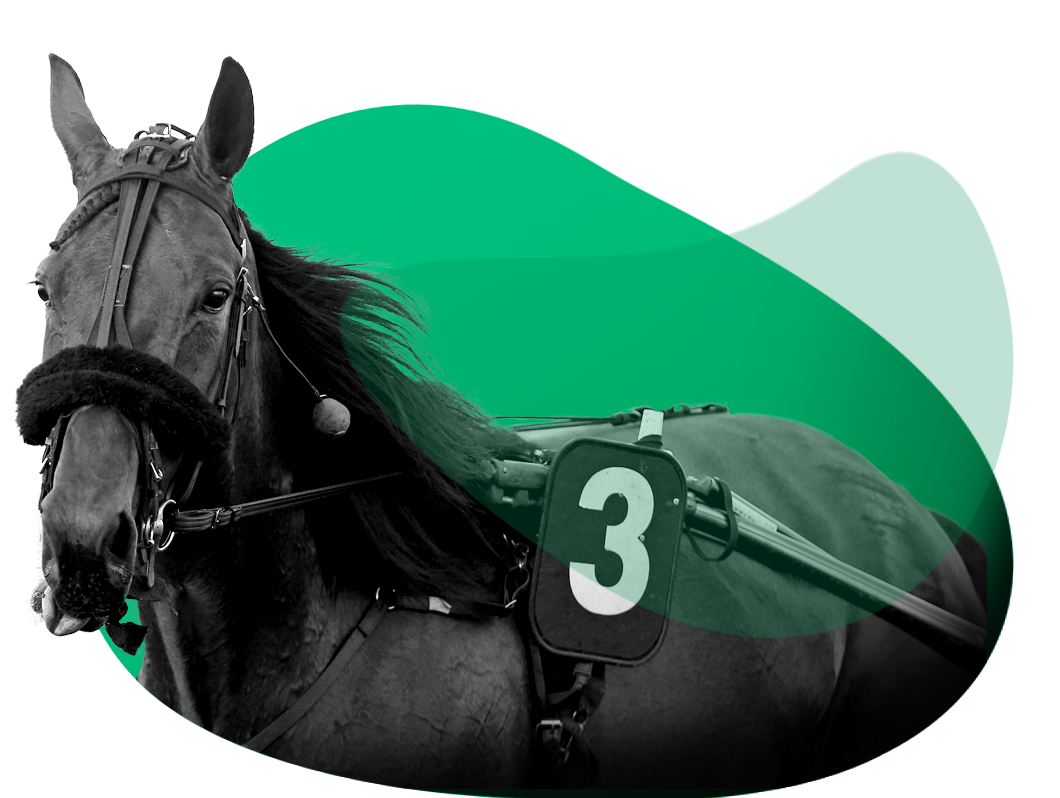 Danmarks Nye Millionspil: Spil & Vind på Heste | Bet25 Heste